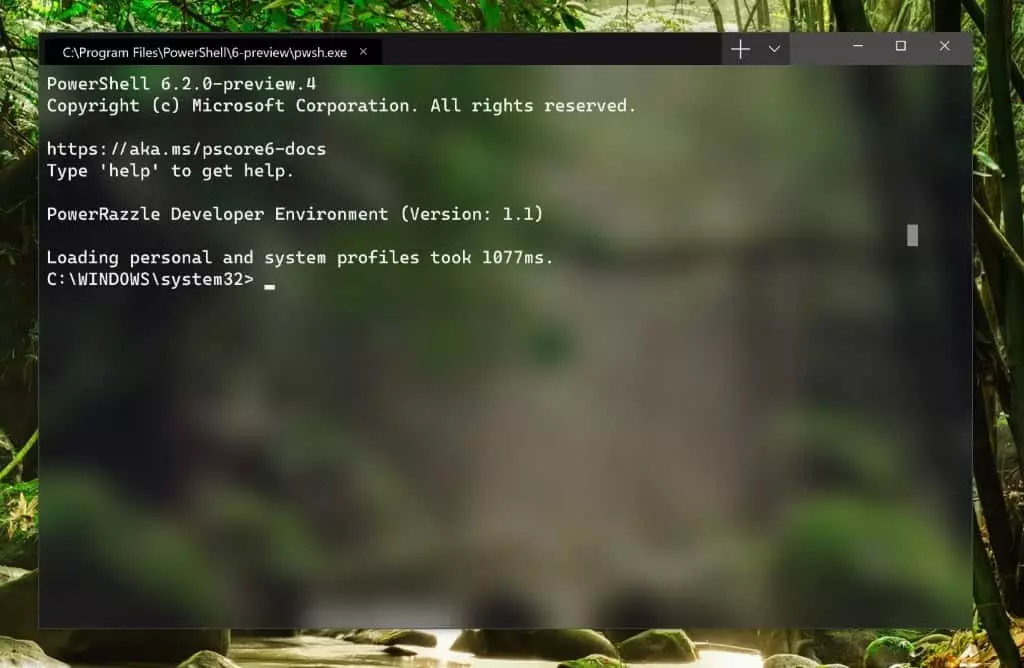 captura de pantalla del terminal de Windows