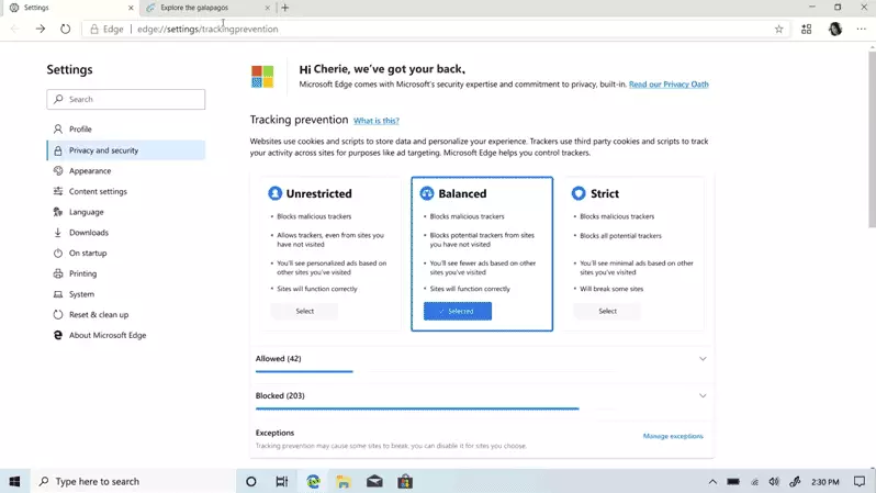 concepto de ferramentas de privacidade de microsoft-edge