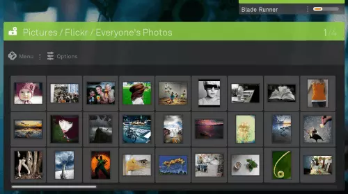 boxee flickr шолу