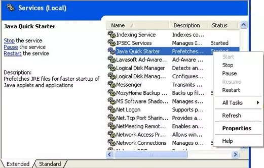 java quick starter