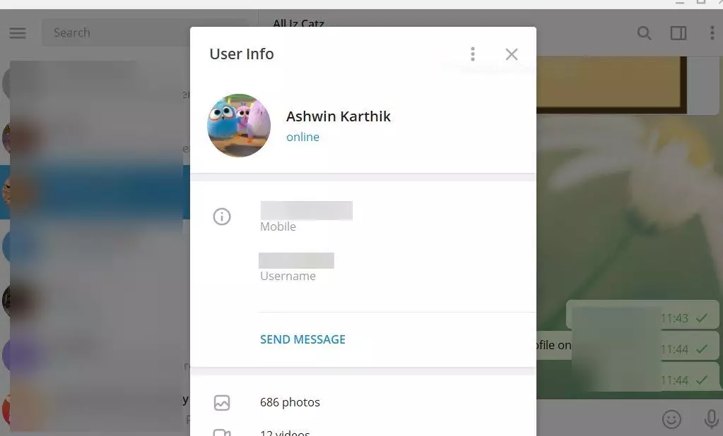 Radna površina videa profila Telegram