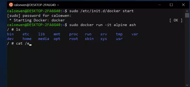 windows subsystem ye-linux 2