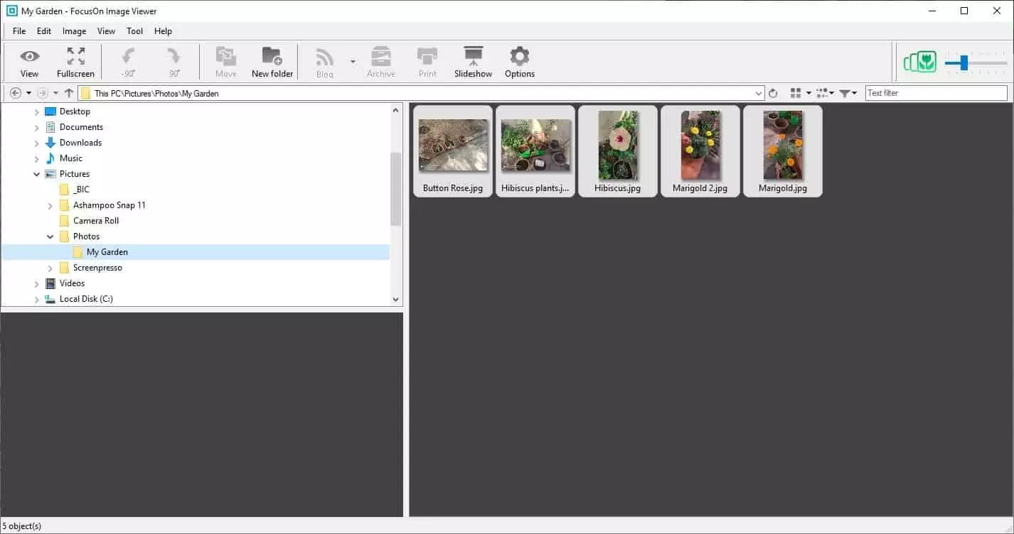 FocusOn Image Viewer — бесплатная программа для просмотра фотографий со встроенным редактором.