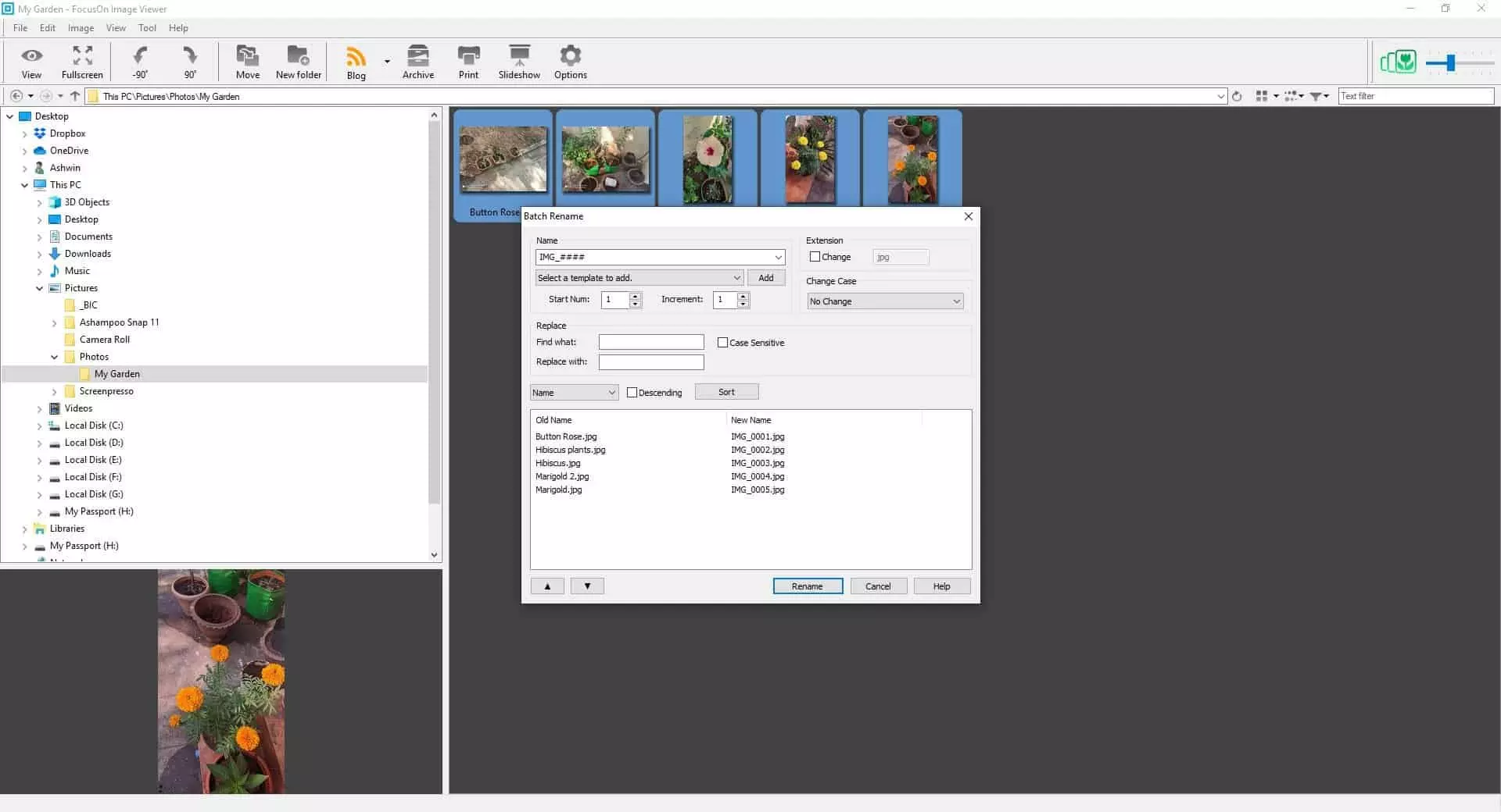 أداة FocusOn Image Viewer Batch Renamer