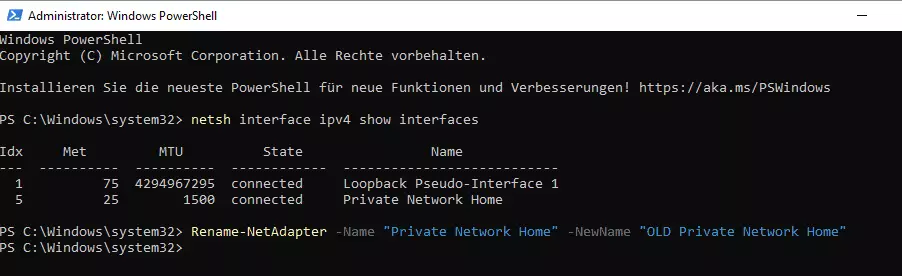 Netzwerkadapter windows 11 umbenennen