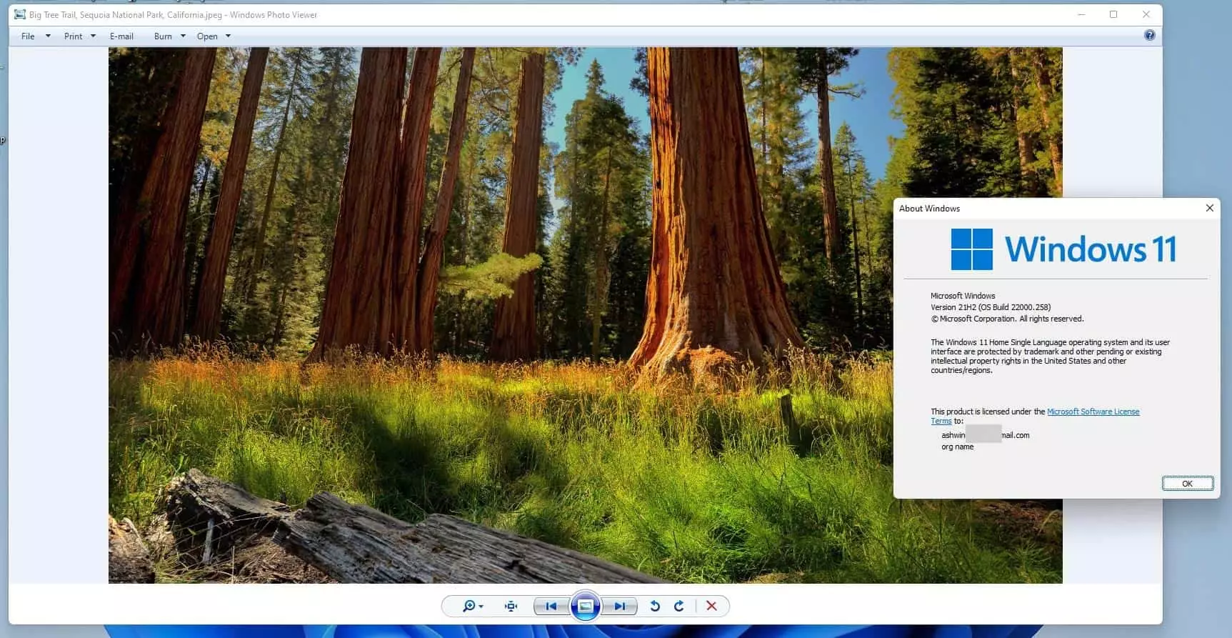 Windows Photo Viewer v sistemu Windows 11