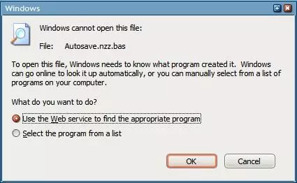 Windows non può aprire questo file