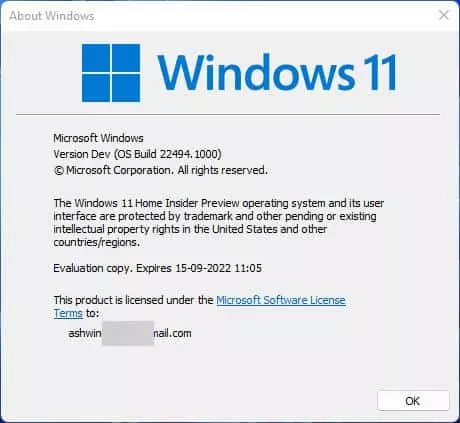 Windows 11 siseringi eelvaate järg 22494