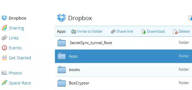 Dropbox ağı