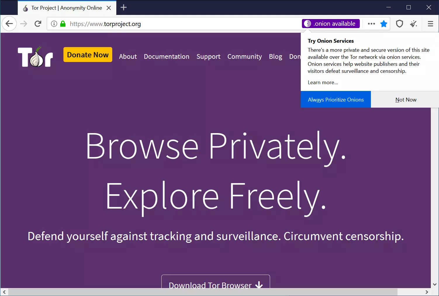 tor browser sibuyas na magagamit