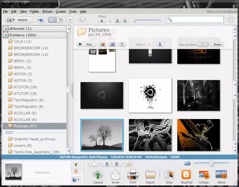 Google se Picasa 3 op Linux