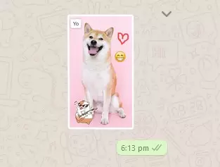 Etiqueta personalizada de la web de Whatsapp