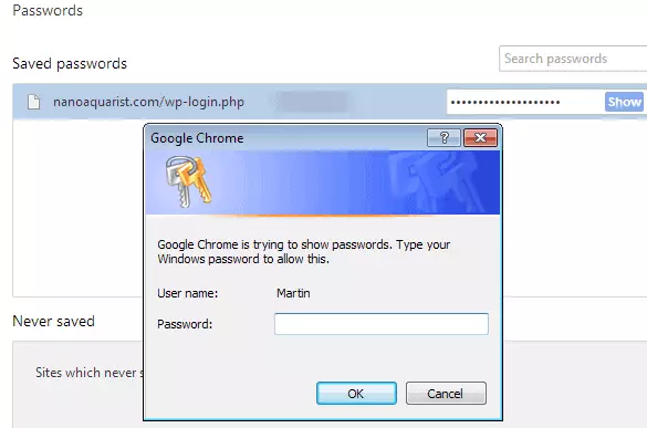 google chrome master password