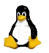pingvīns_mazais