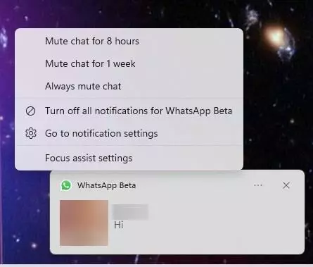Notifiki WhatsApp beta