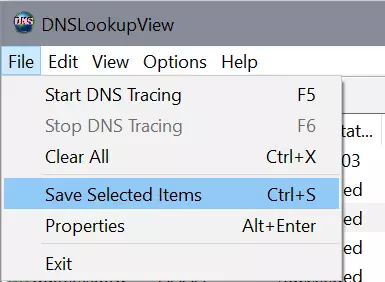 dns डाटा निर्यात गर्नुहोस्