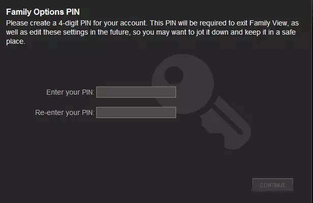 steam-pin