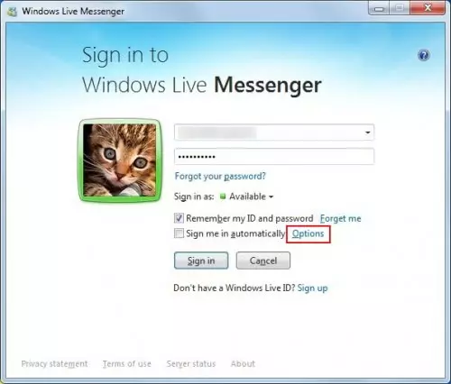 登录 Windows Live Messenger