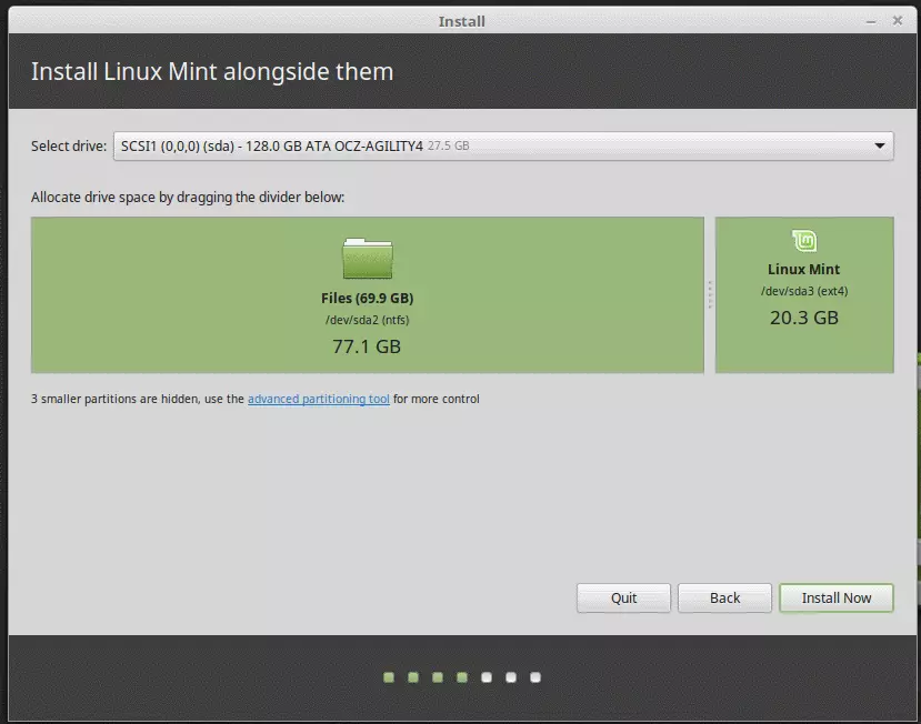 Partiții Linux Mint Installer