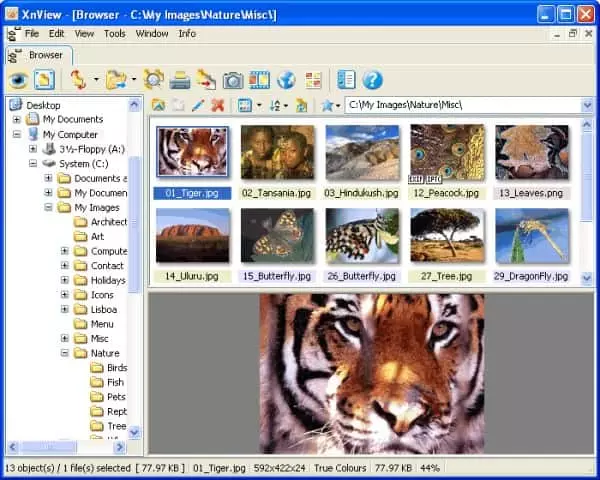 Forcevision Image Viewer