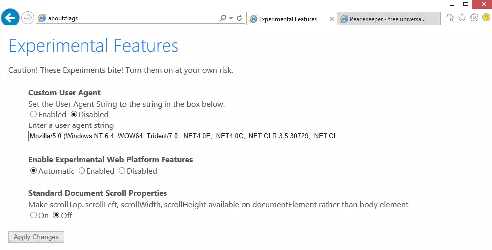 Internet Explorer 实验标志