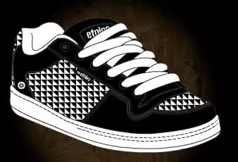 etnies custom 2