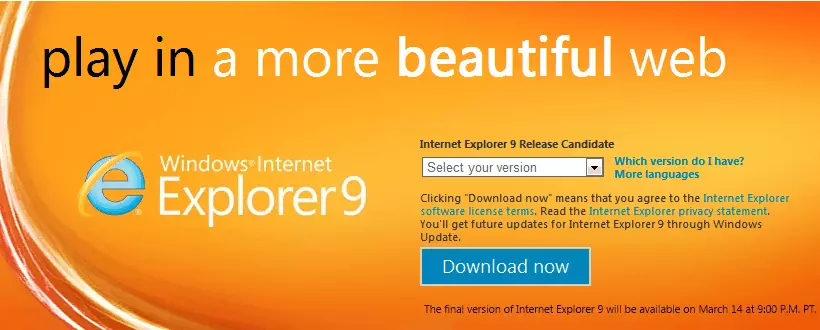 9. Internet Explorer