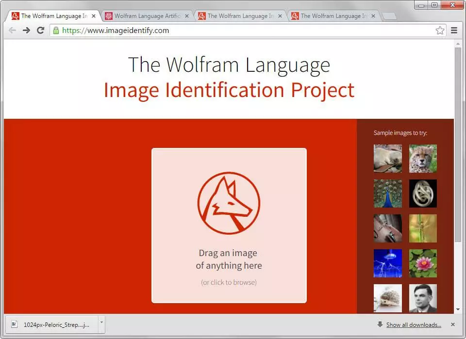 projekt identifikacije slike