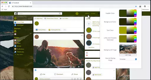 Rozšíření Color Changer pro Facebook pro Chrome