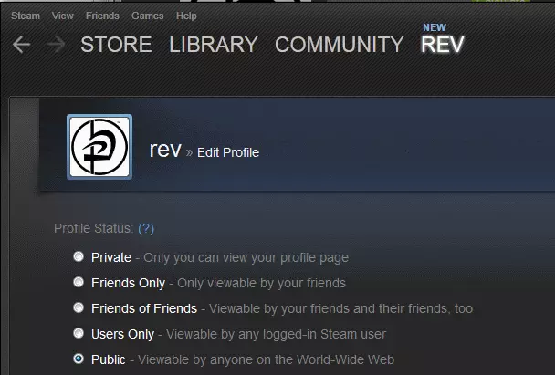 Steam javni profil